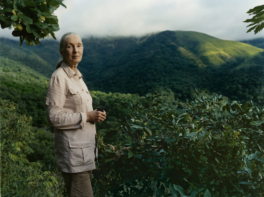 On Reconstructing Humanity | Anankemag