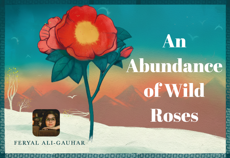 Celebrating a feminist lens on human and environmental degradation